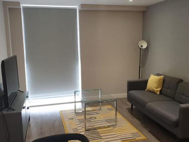 1 bedroom apartment to rent