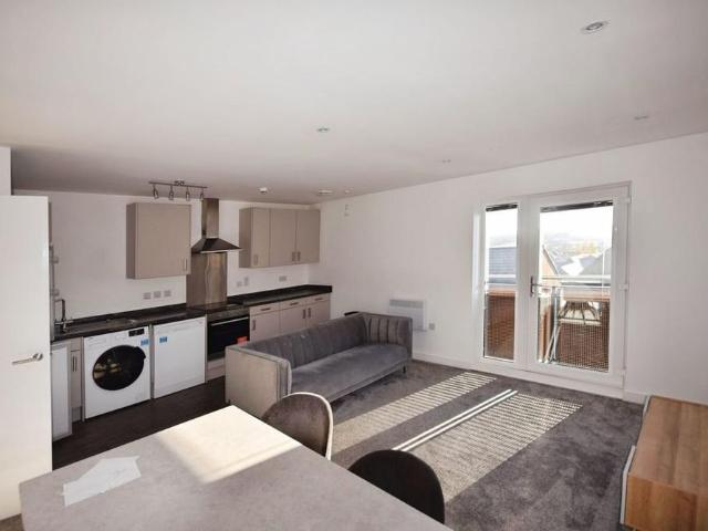 1 bedroom apartment to rent