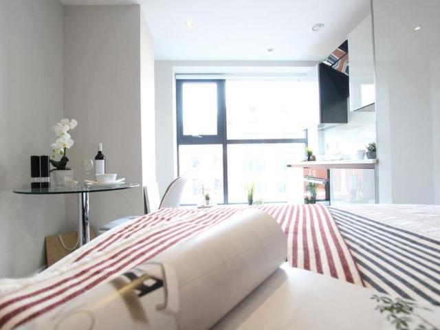 1 bedroom apartment to rent
