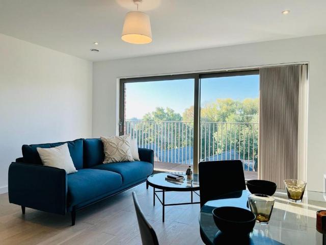 1 bedroom apartment to rent