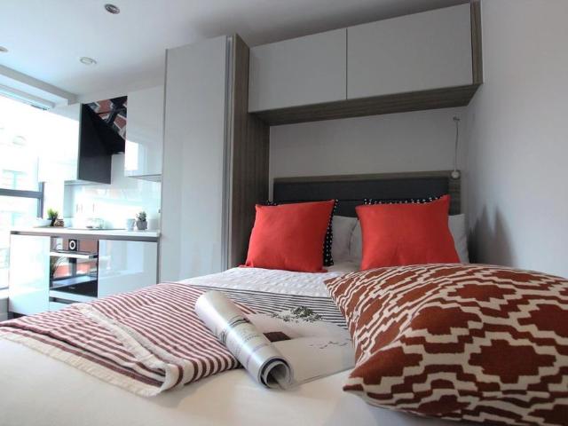 1 bedroom apartment to rent
