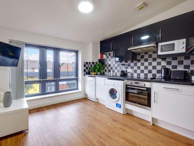 1 bedroom apartment to rent