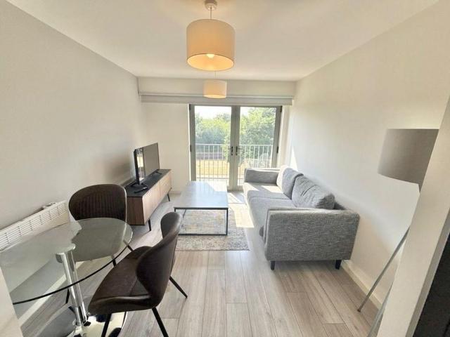 1 bedroom apartment to rent