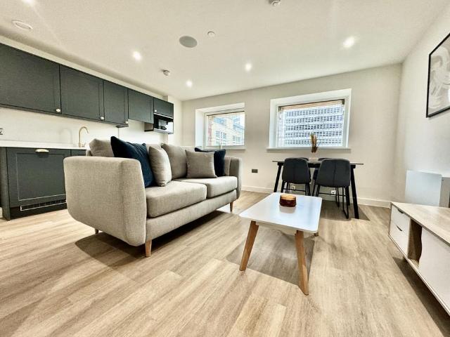 1 bedroom apartment to rent