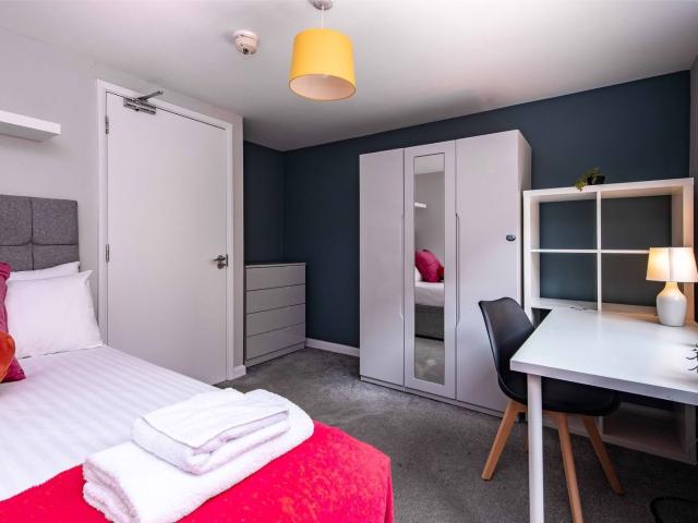 1 bedroom apartment to rent