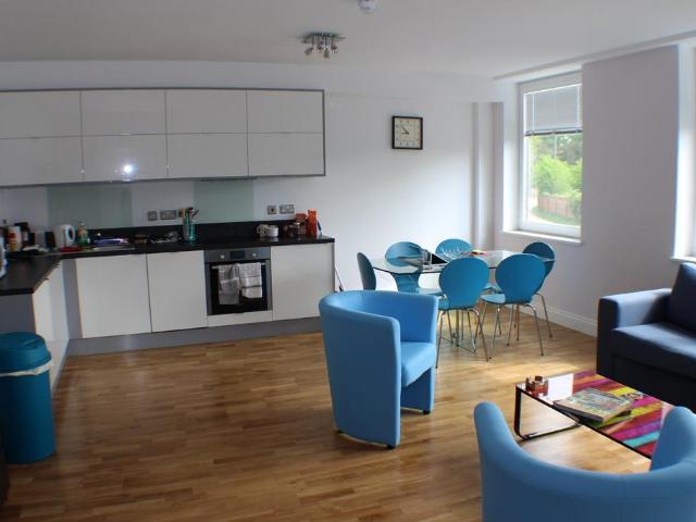1 bedroom apartment to rent