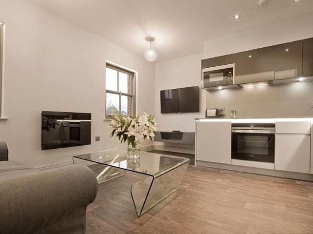 1 bedroom apartment to rent