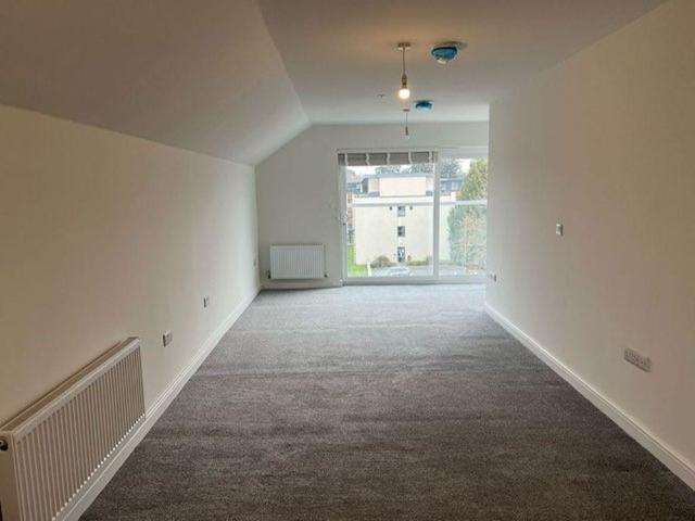 1 bedroom apartment to rent