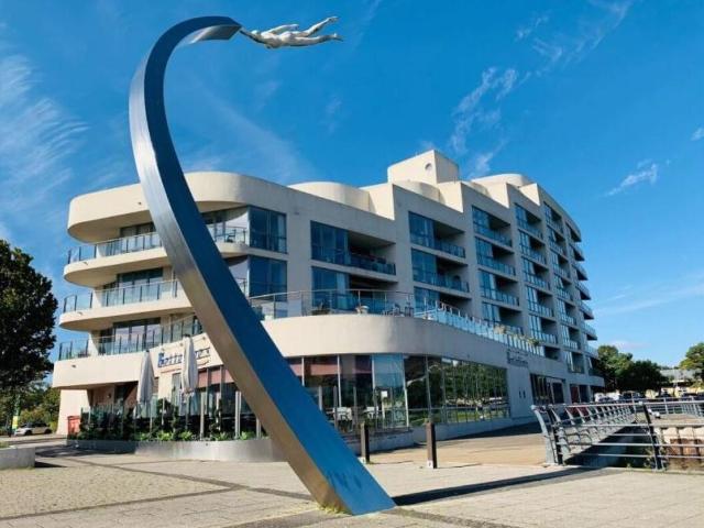 1 bedroom apartment to rent