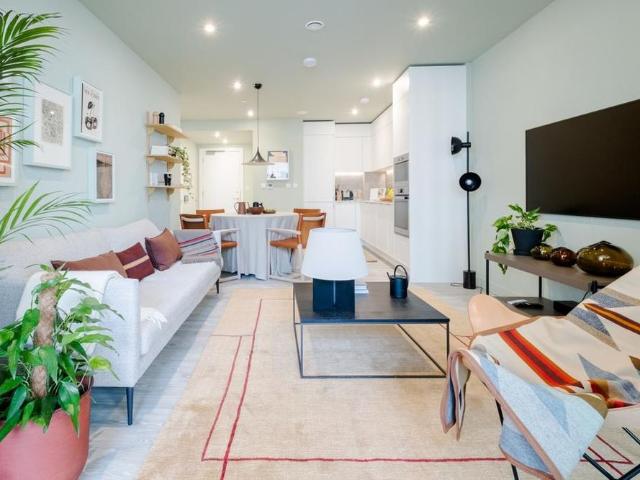 1 bedroom apartment to rent
