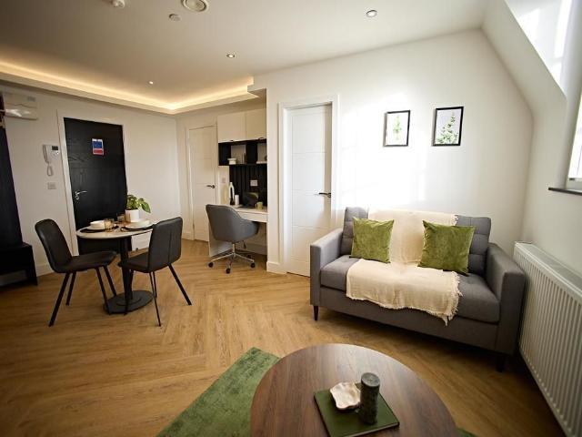1 bedroom apartment to rent