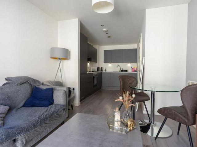 1 bedroom apartment to rent