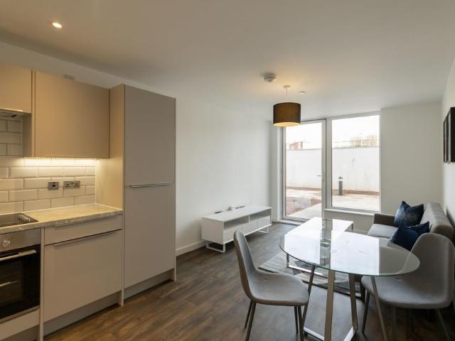 1 bedroom apartment to rent