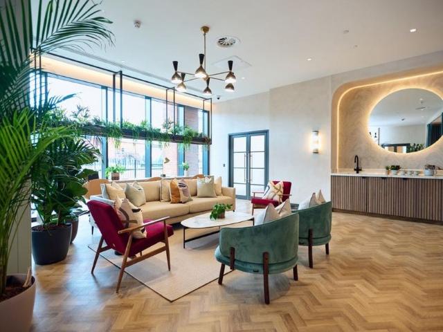 1 bedroom apartment to rent