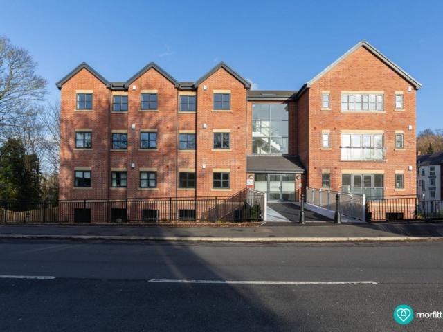 1 bedroom apartment to rent