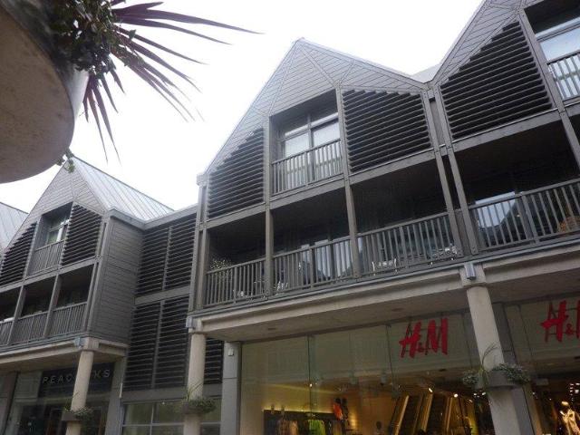 1 bedroom apartment to rent