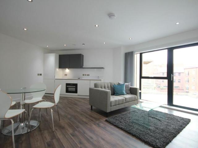 1 bedroom apartment to rent