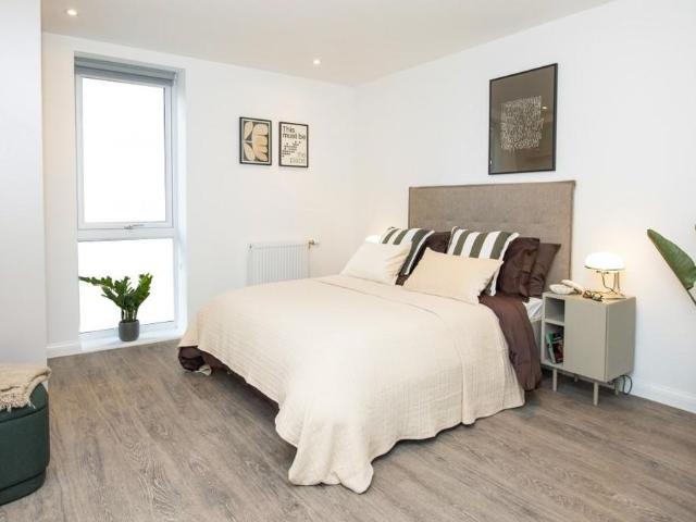 1 bedroom apartment to rent