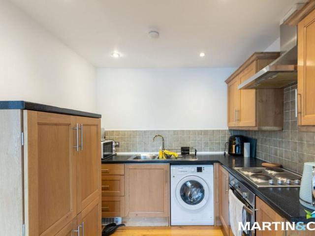 1 bedroom apartment to rent
