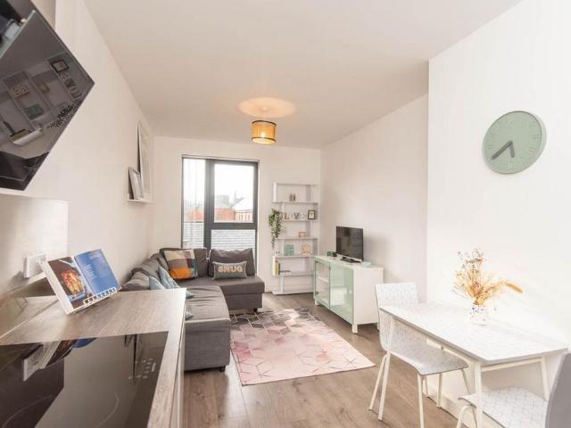 1 bedroom apartment to rent