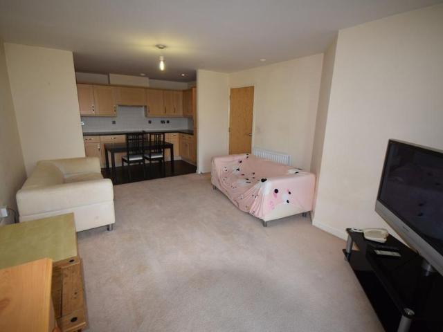 1 bedroom apartment to rent