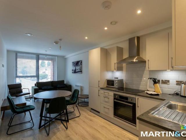 1 bedroom apartment to rent