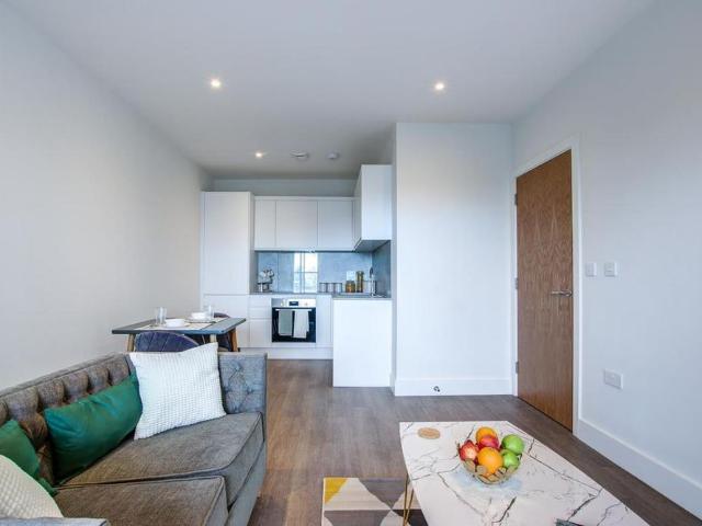 1 bedroom apartment to rent