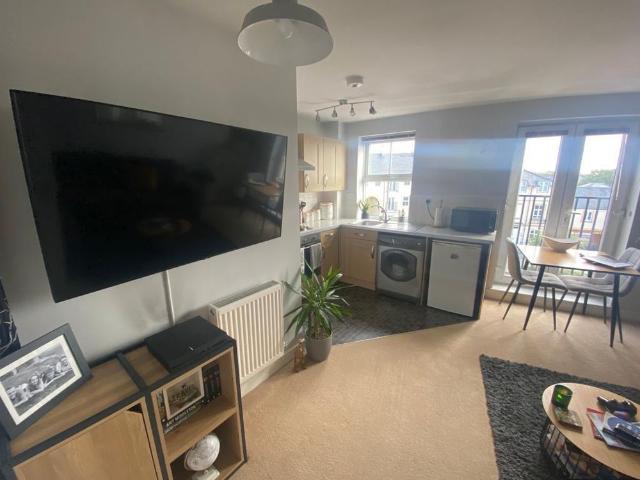 1 bedroom apartment to rent