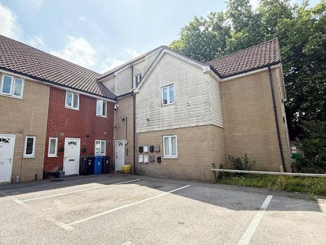 1 bedroom apartment to rent