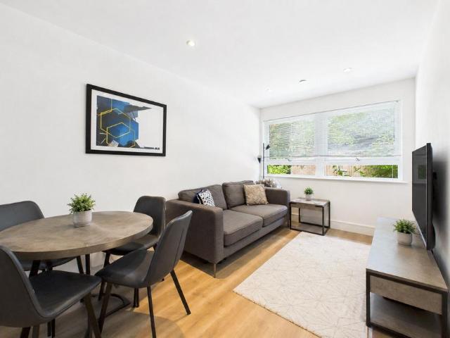 1 bedroom apartment to rent
