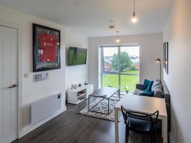 1 bedroom apartment to rent