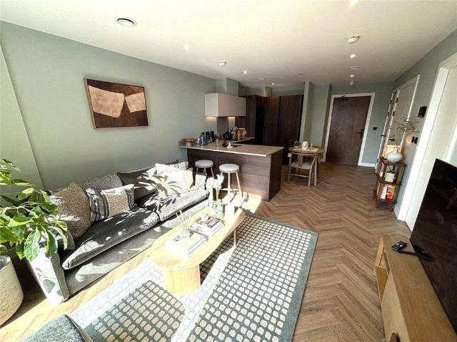 1 bedroom apartment to rent