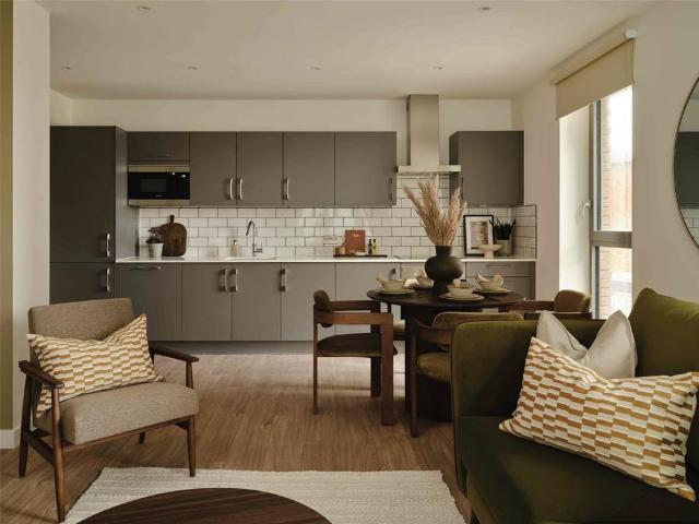 1 bedroom apartment to rent