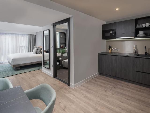 1 bedroom apartment to rent
