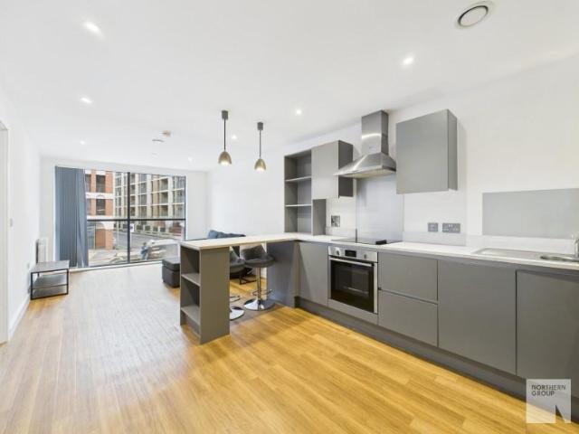 1 bedroom apartment to rent