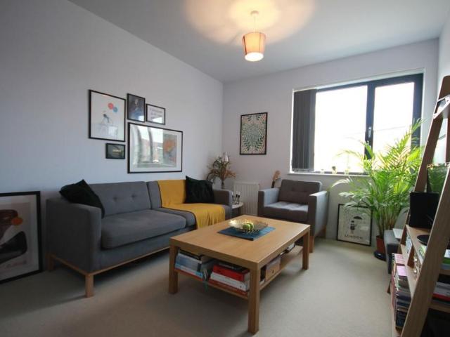 1 bedroom apartment to rent