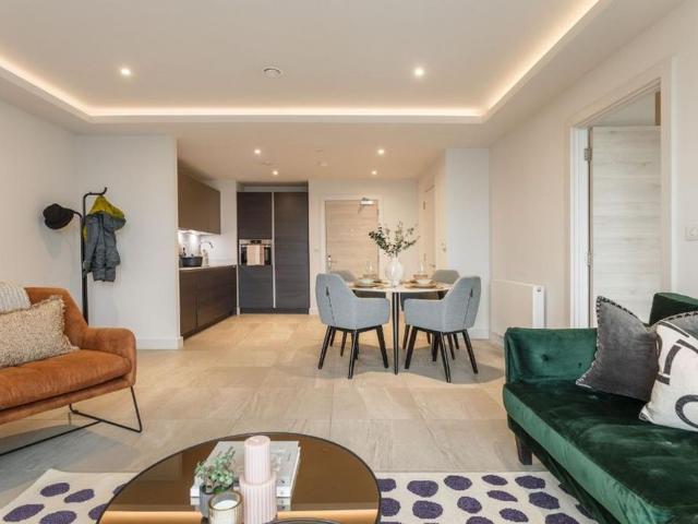 1 bedroom apartment to rent