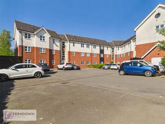 1 bedroom apartment to rent