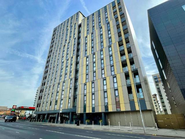 1 bedroom apartment to rent