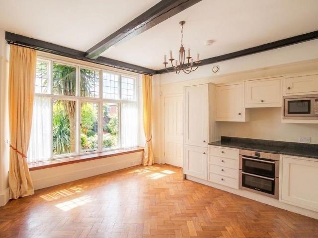 1 bedroom apartment to rent