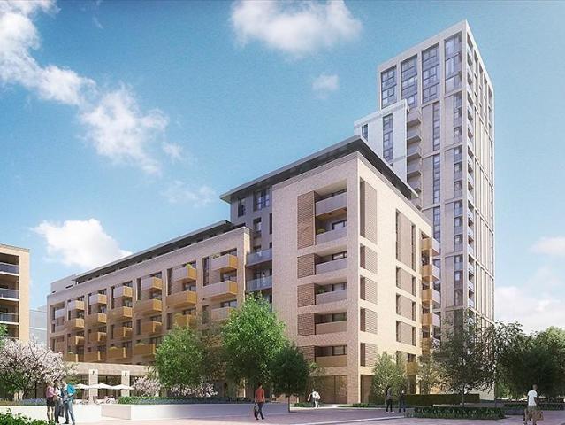 1 bedroom apartment to rent