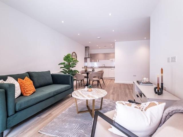 1 bedroom apartment to rent