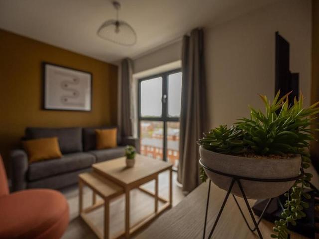 1 bedroom apartment to rent