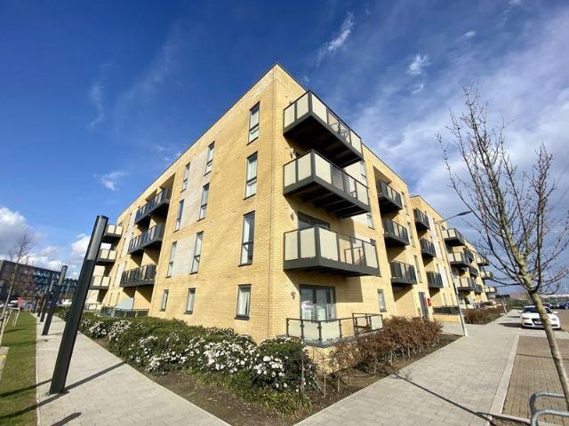 1 bedroom apartment to rent