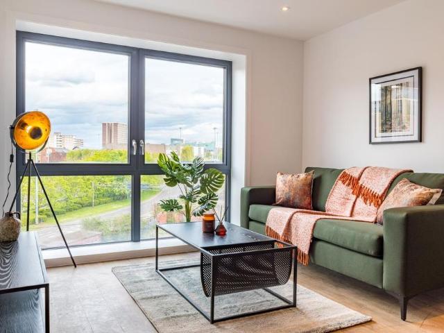1 bedroom apartment to rent