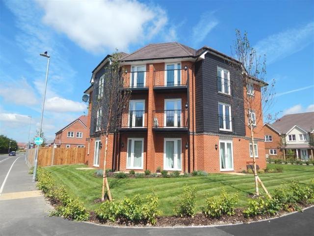 1 bedroom apartment to rent