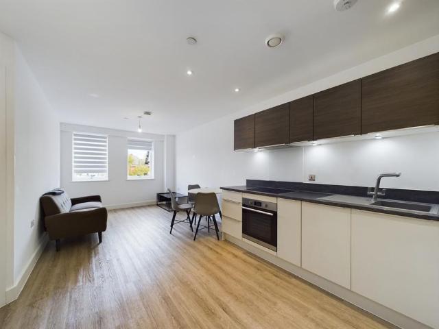1 bedroom apartment to rent