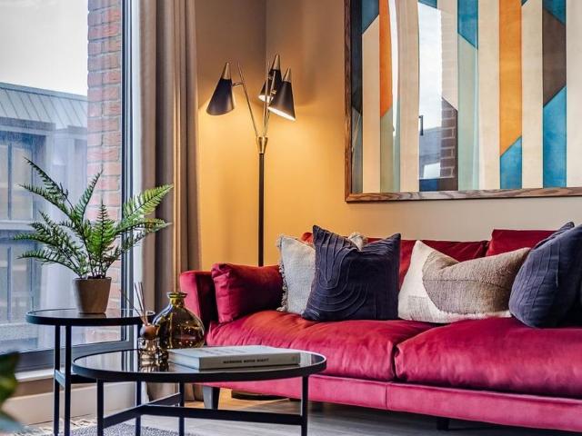 1 bedroom apartment to rent