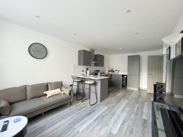 1 bedroom apartment to rent