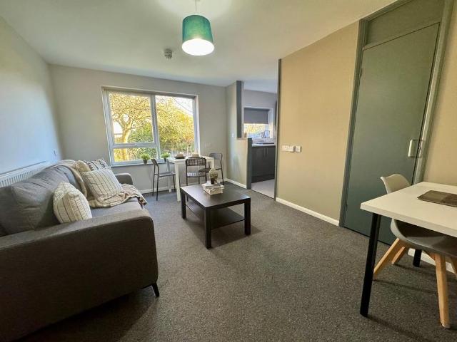 1 bedroom apartment to rent